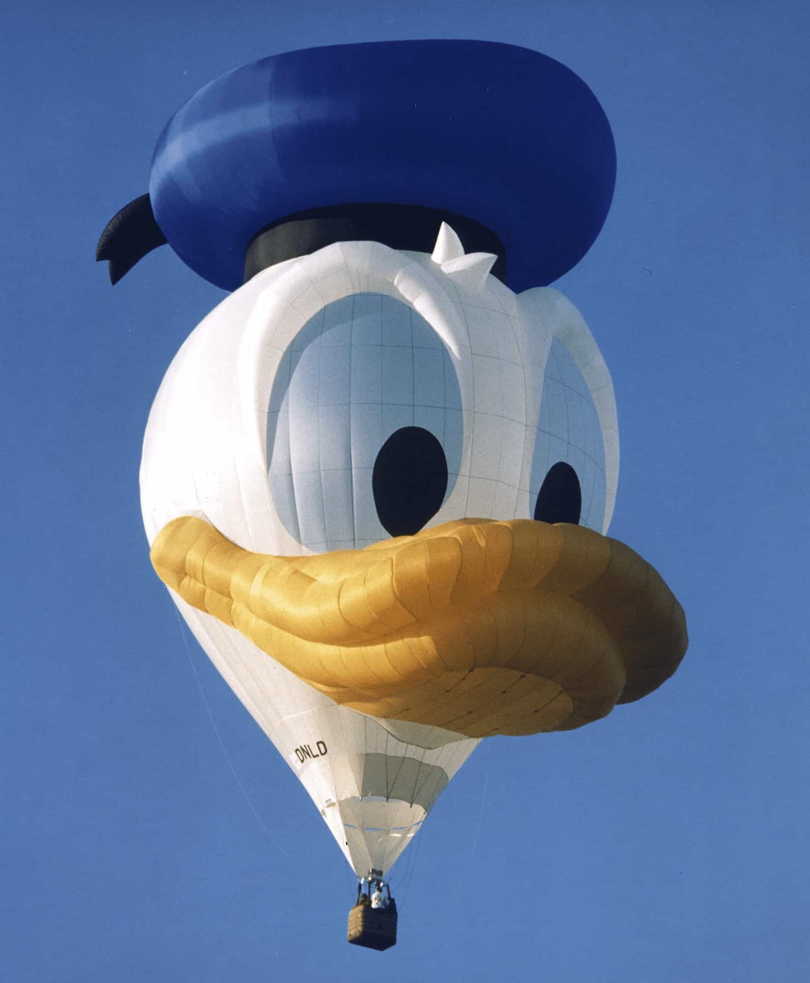 Projects | Cameron Fabric Engineering