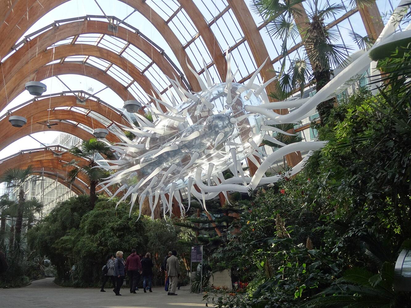 E.coli | Cameron Fabric Engineering