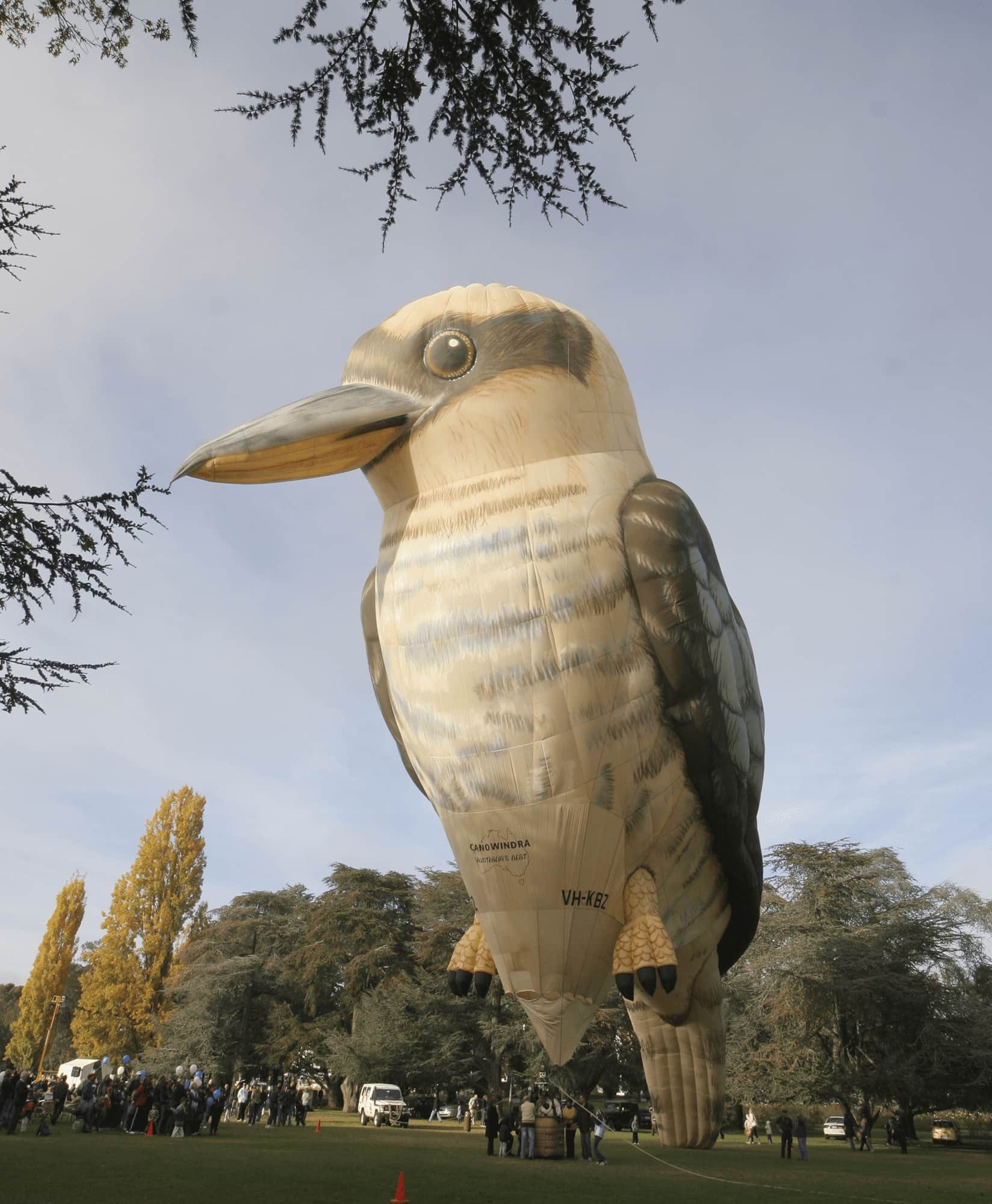 Projects | Cameron Fabric Engineering